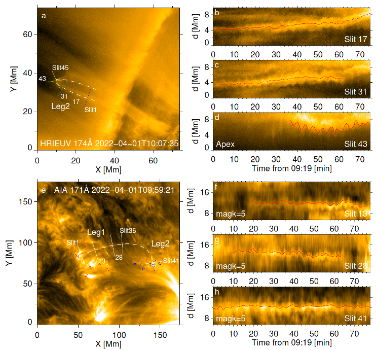 COSMOS Science nugget: Polarisation of Decayless Kink Oscillations of ... COSMOS Science nugget: Polarisation of Decayless Kink Oscillations of ...
